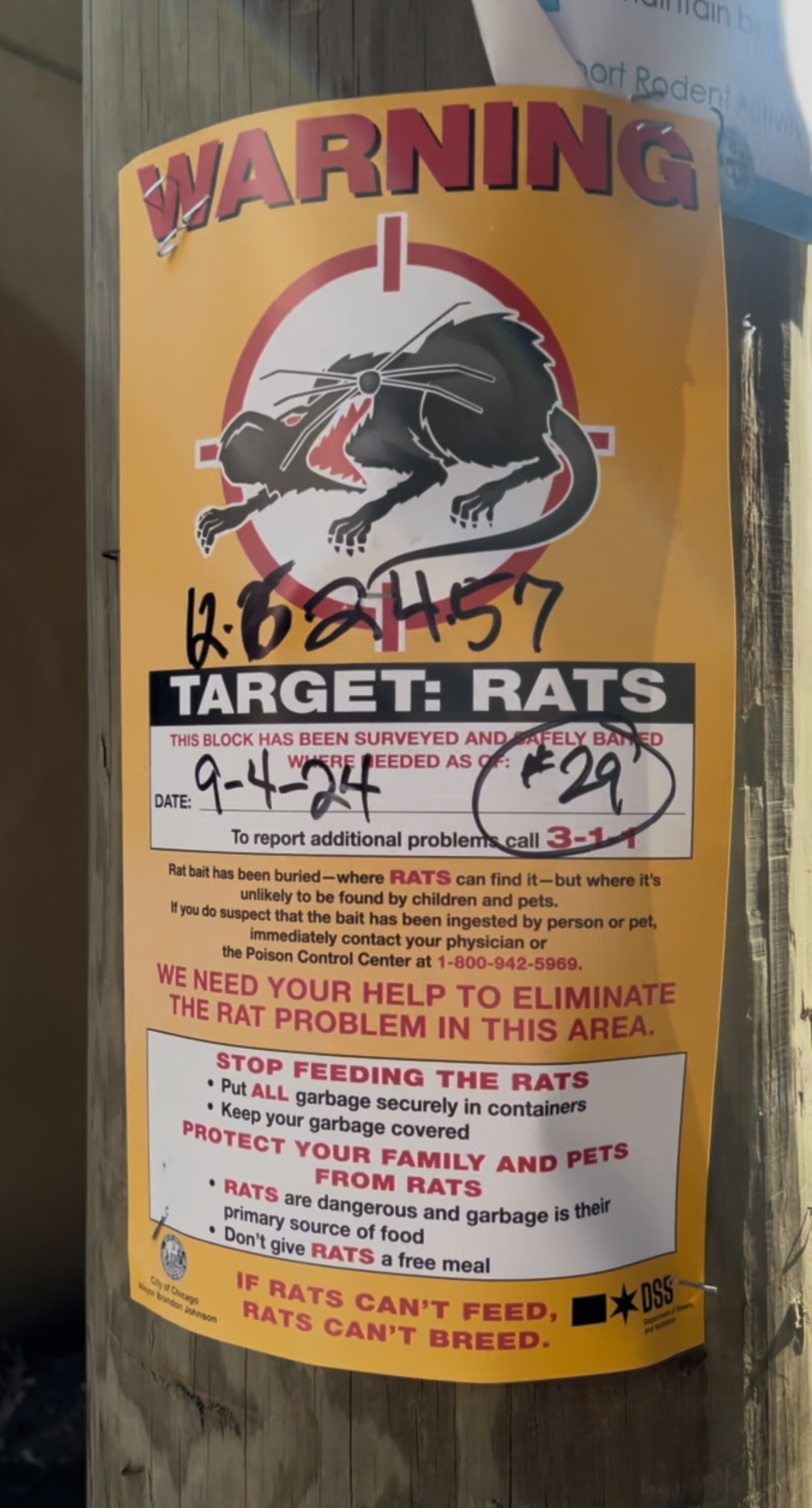 Chicago Steps Up the War Against Rodents